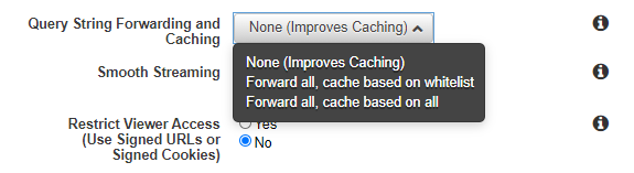 [AWS] CloudFront 캐시 적중률 늘리기 (cache hit ratio) – ManVSCloud